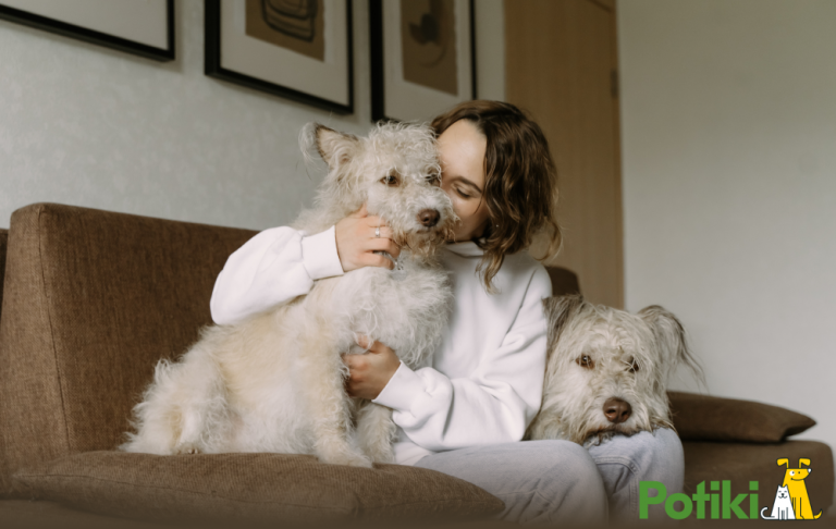 Understanding Dog Insurance Costs | What factors to consider