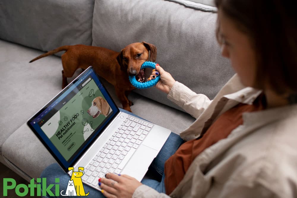 Comparing Dog Insurance Plans: Finding the Perfect Coverage for Your ...